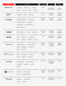 HRM Software Development: How To Build HR Management Software
